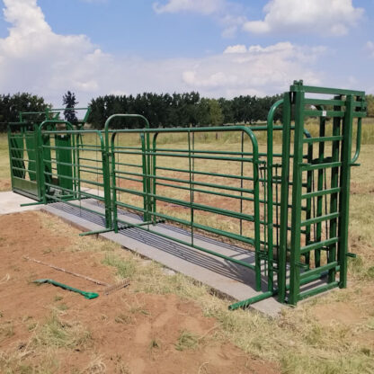 Cattle Working Crate Combo – VDW Engineering